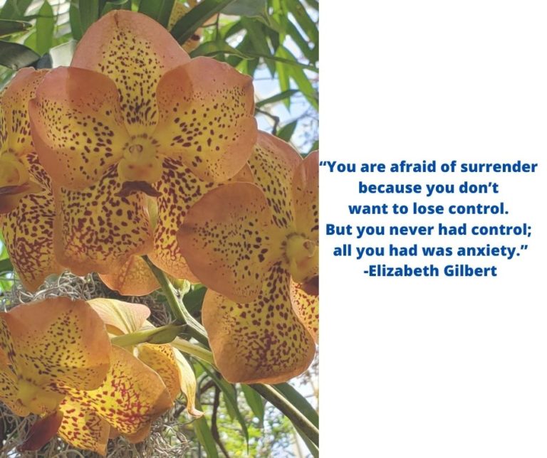 “You are afraid of surrender because you don’t want to lose control ...