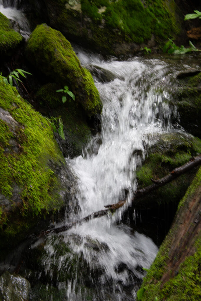 Holding it together - Hope For Widows Foundation